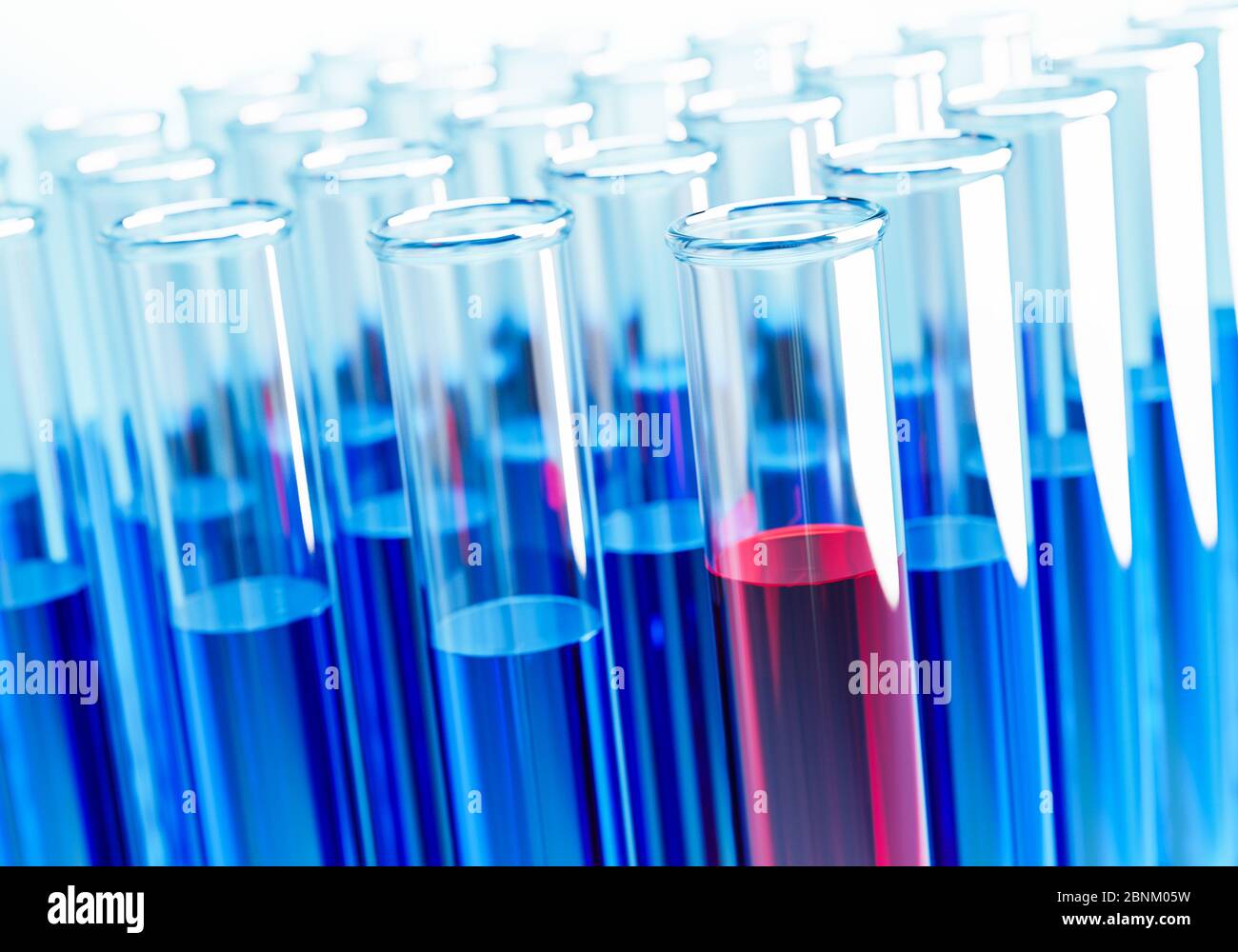 Test tubes with red or blue liquid in a holder. Testing laboratory ...
