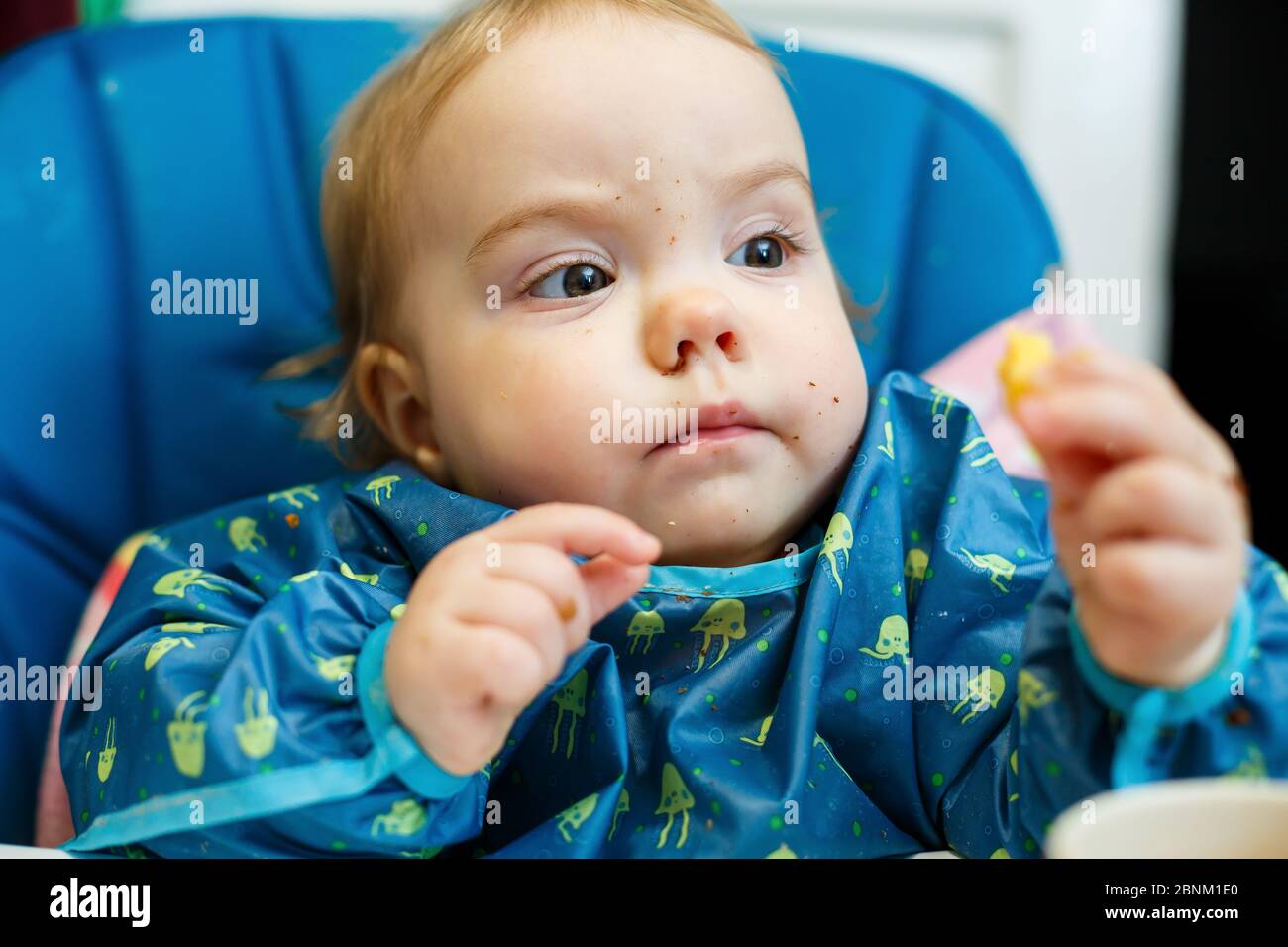 A small child sits in a feeding chair and eats bread for the first time ...