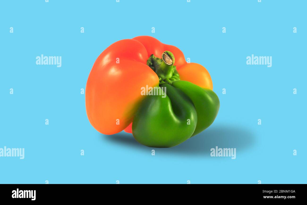 Ugly Pepper High Resolution Stock Photography and Images - Alamy