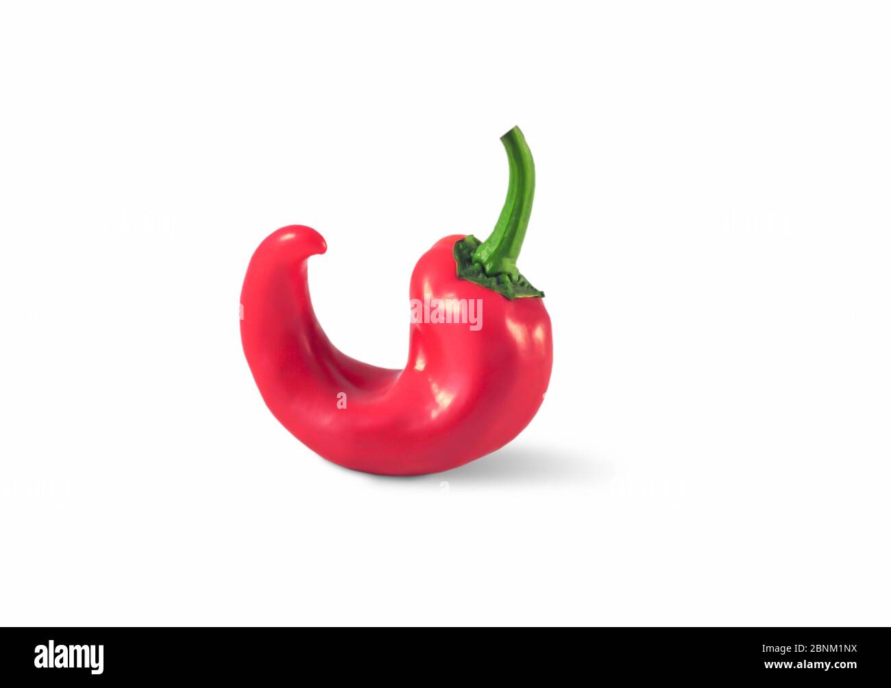 Ugly shaped organic vegetables. Deformed homegrown bell pepper isolated ...