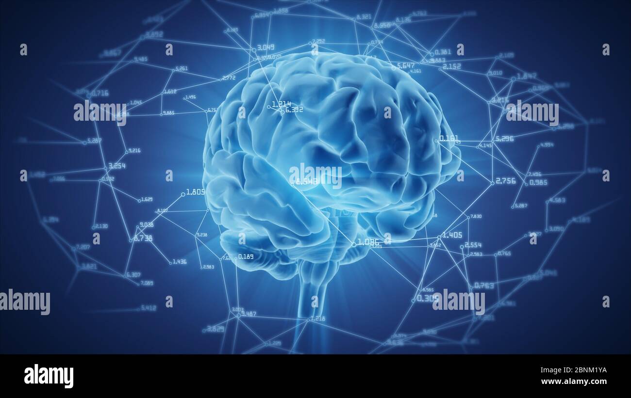 3d illustration brain with computational and mathematical data Stock ...