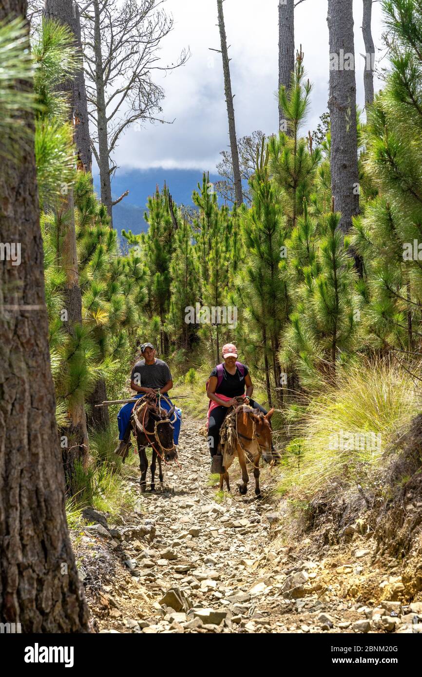 America, the Caribbean, Greater Antilles, Dominican Republic, Jarabacoa ...