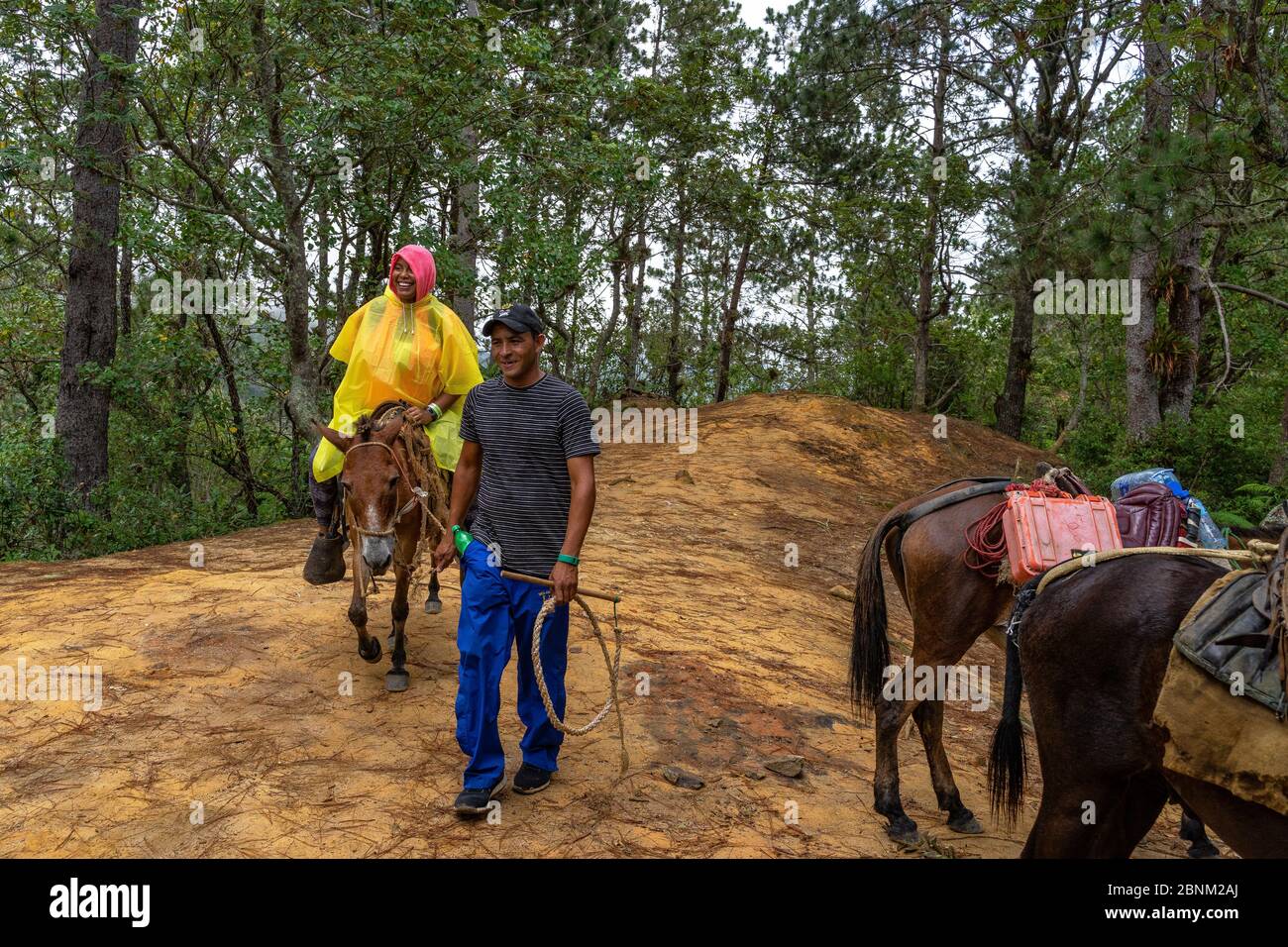Jose armando bermudez national park hi-res stock photography and images ...