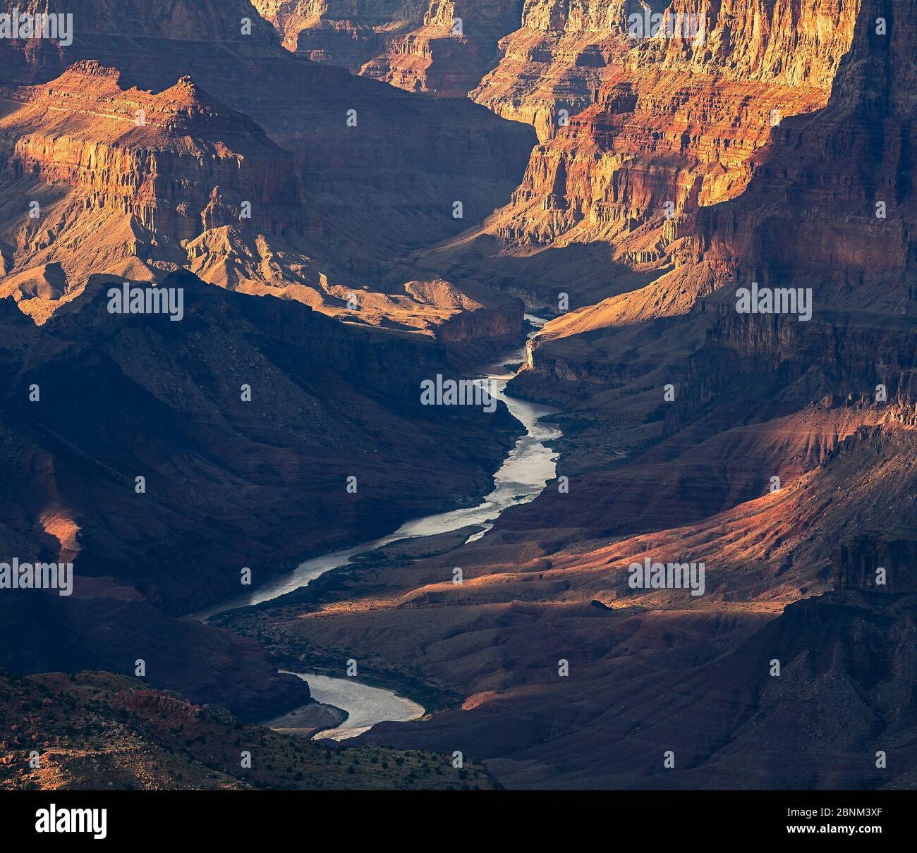 Grand Canyon and Colorado River, Arizona, USA Stock Photo - Alamy