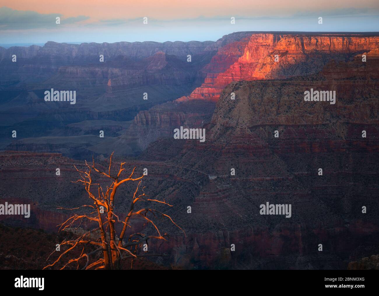 Las Sun Rays Over Grand Canyon at Sunset, Aeizona, USA Stock Photo - Alamy