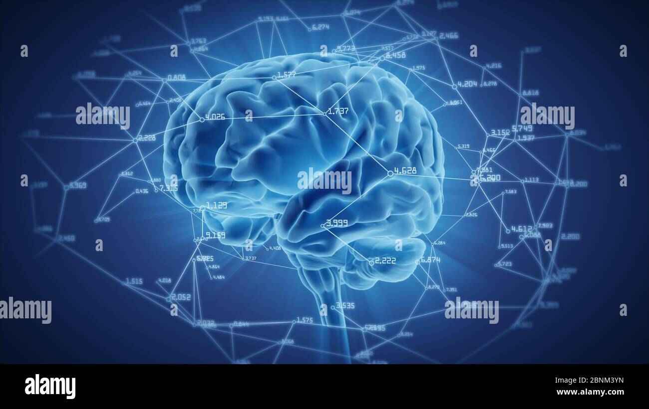 3d illustration brain with computational and mathematical data Stock ...