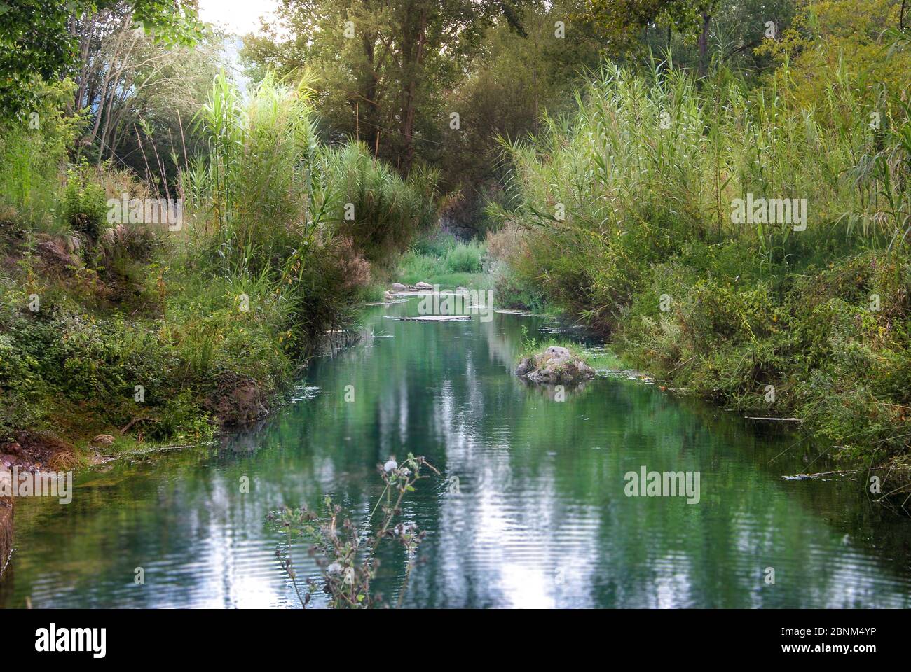 Reflections in the river water between nature. Reflexes Stock Photo - Alamy
