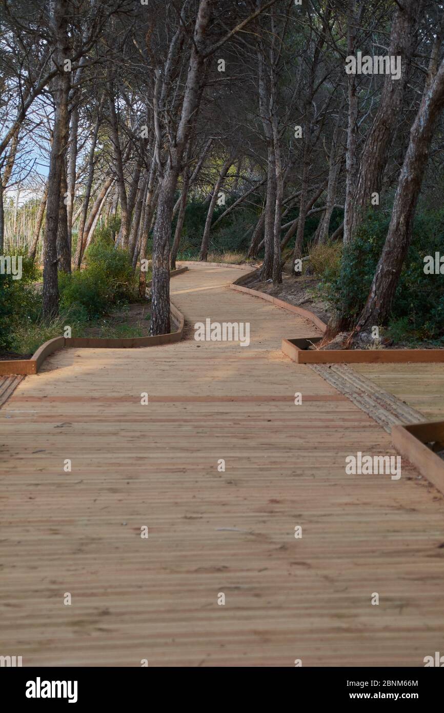 Wooden path to paradise on earth. Spring colors Stock Photo - Alamy