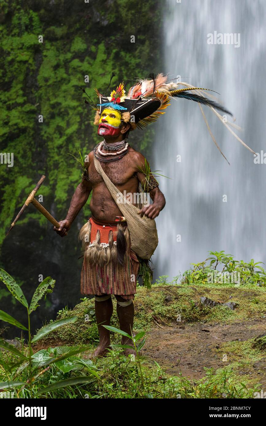 Chief Timon Tumbu Huli Wigman in traditional / ceremonial dress with ...