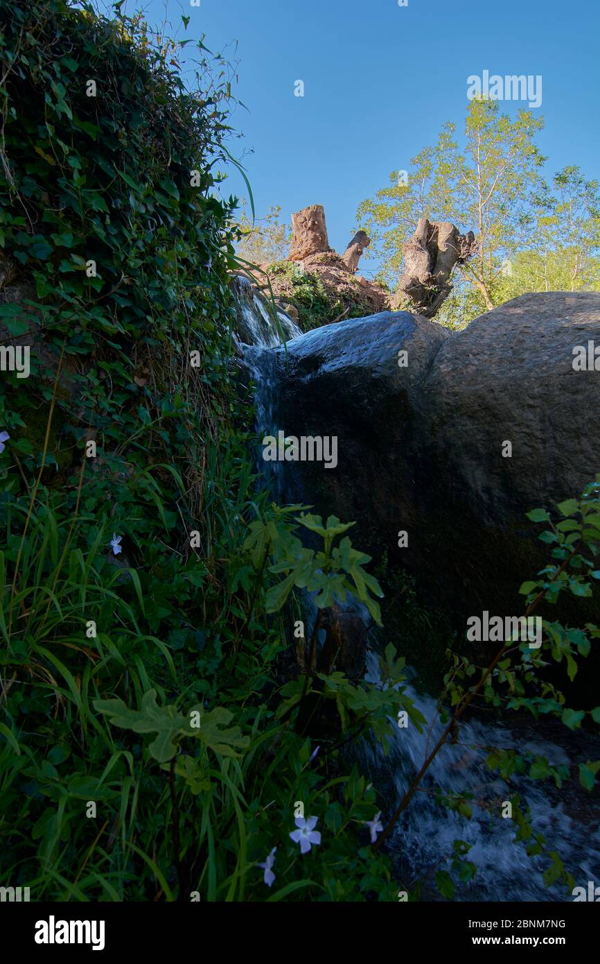 Waterfall on a bright spring morning. Colors of nature Stock Photo - Alamy