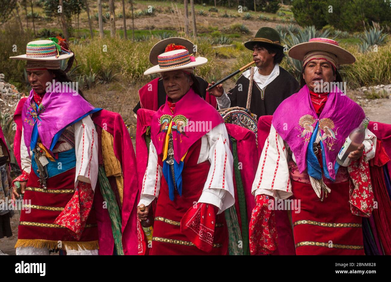 Indigenous Salasaca Indians in colourful garments, celebrating the Inti ...