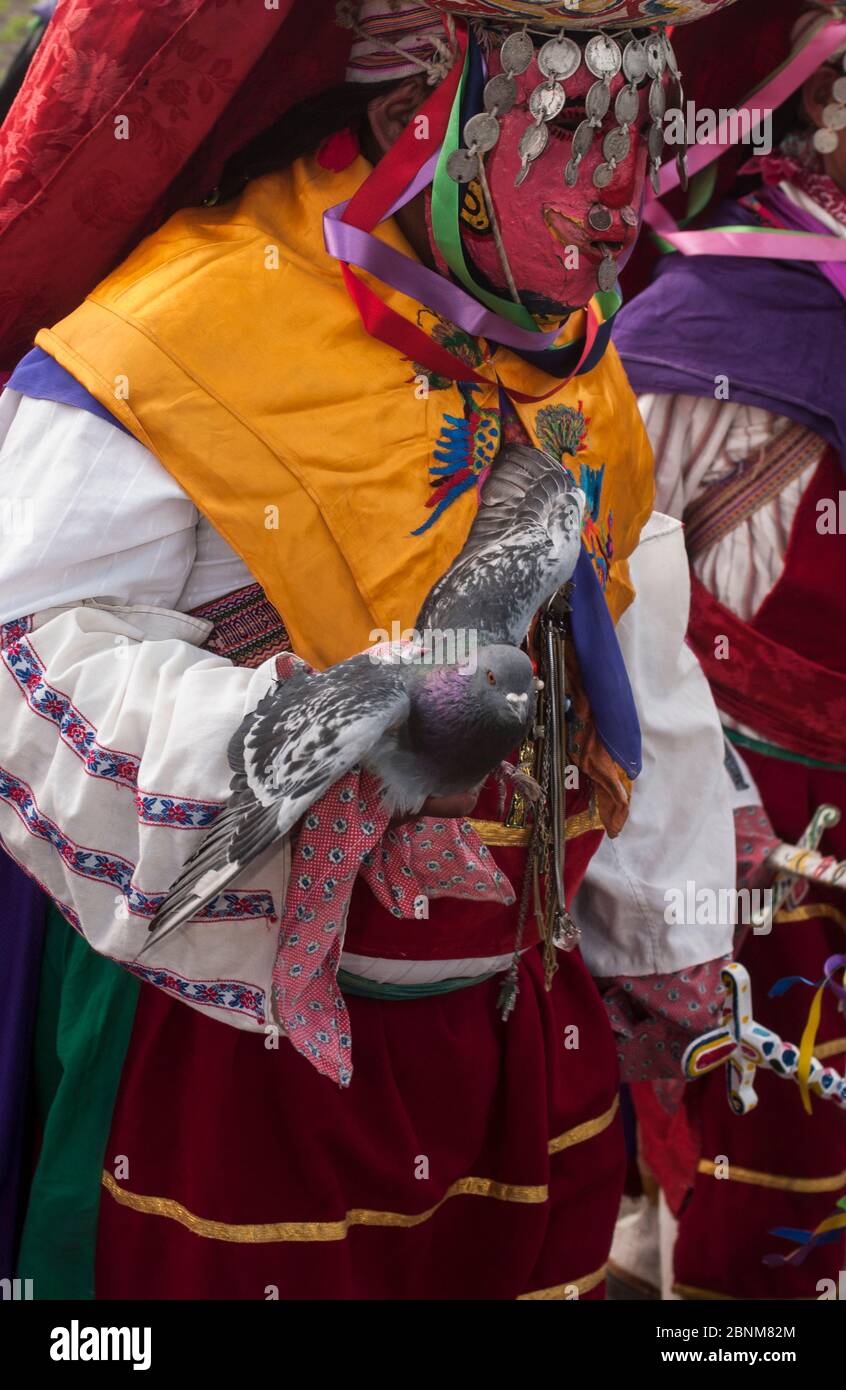 Indigenous Salasaca Indian in traditional mask, celebrating the Inti ...