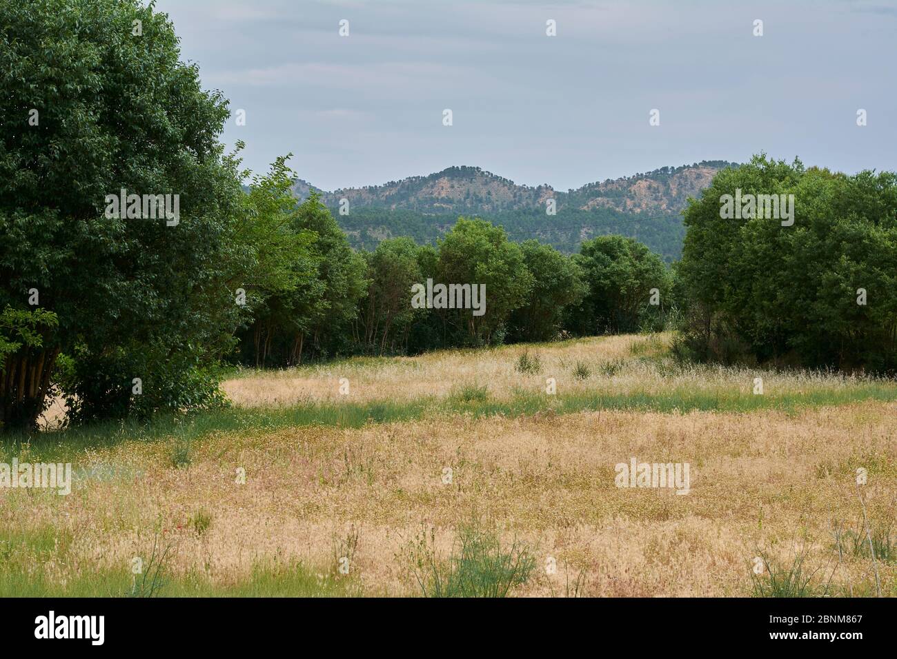 Bright summer colors hi-res stock photography and images - Alamy