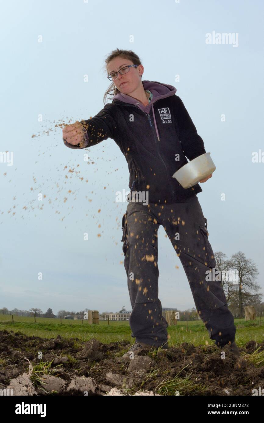 Woman scattering seeds plant hi-res stock photography and images - Alamy