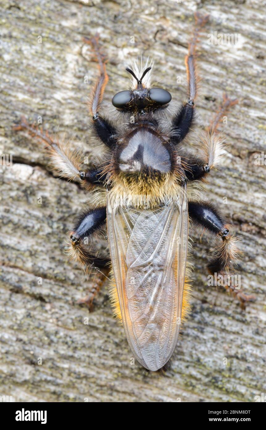 Exterior murder hi-res stock photography and images - Alamy