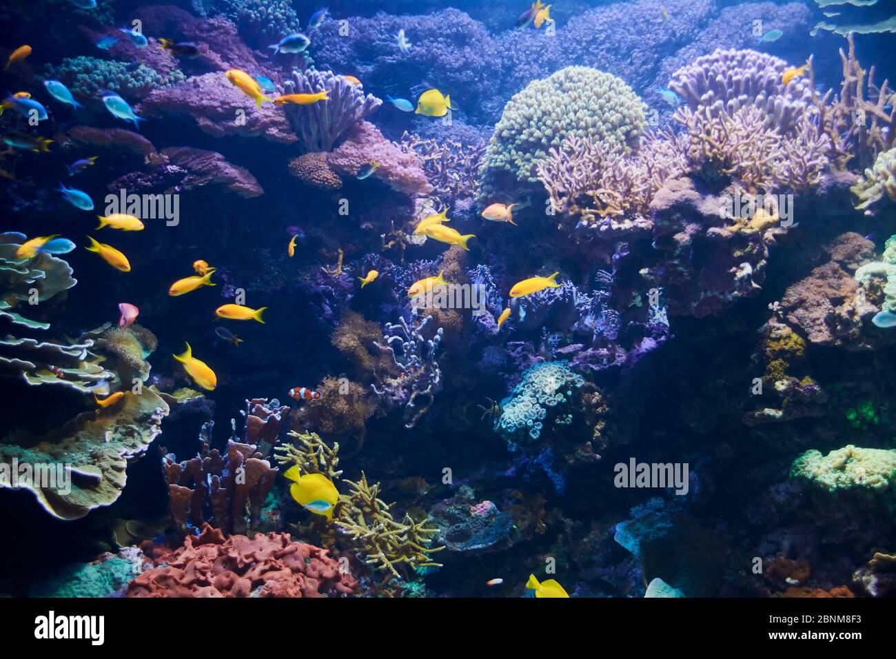 Ocean colors hi-res stock photography and images - Alamy
