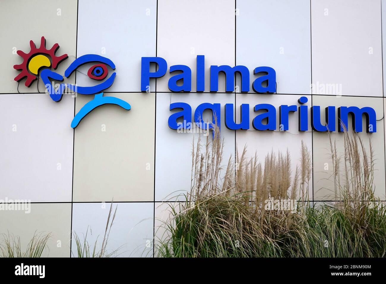 Majorca palma aquarium hi-res stock photography and images - Alamy