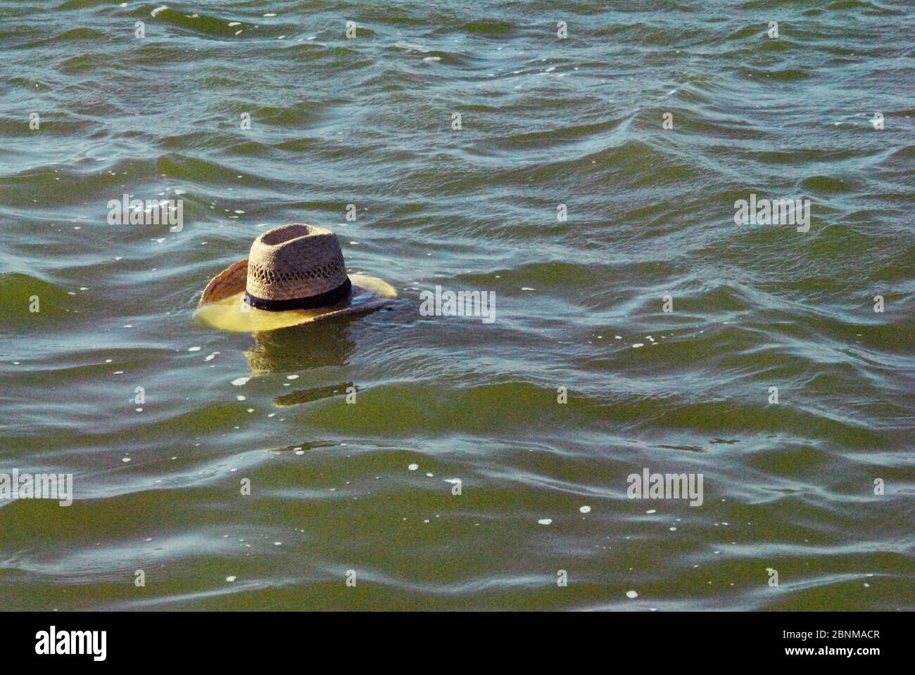 Hat fallen in the water of a lake. Colors of nature Stock Photo - Alamy