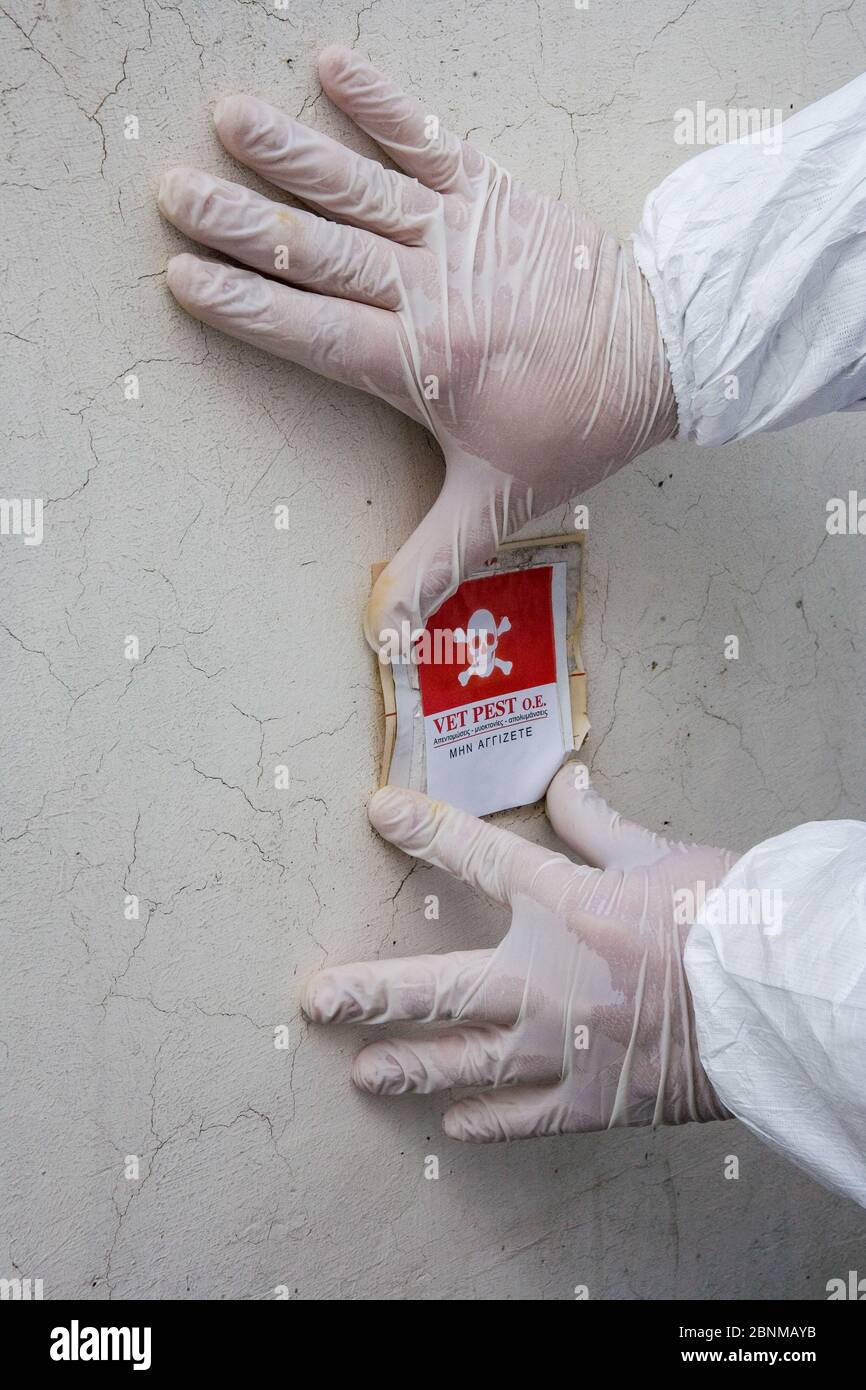 hands wearing protective gloves, placing a sticker with a hazard, alert ...