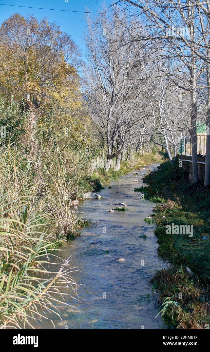 Meadow stream bubble water hi-res stock photography and images - Alamy