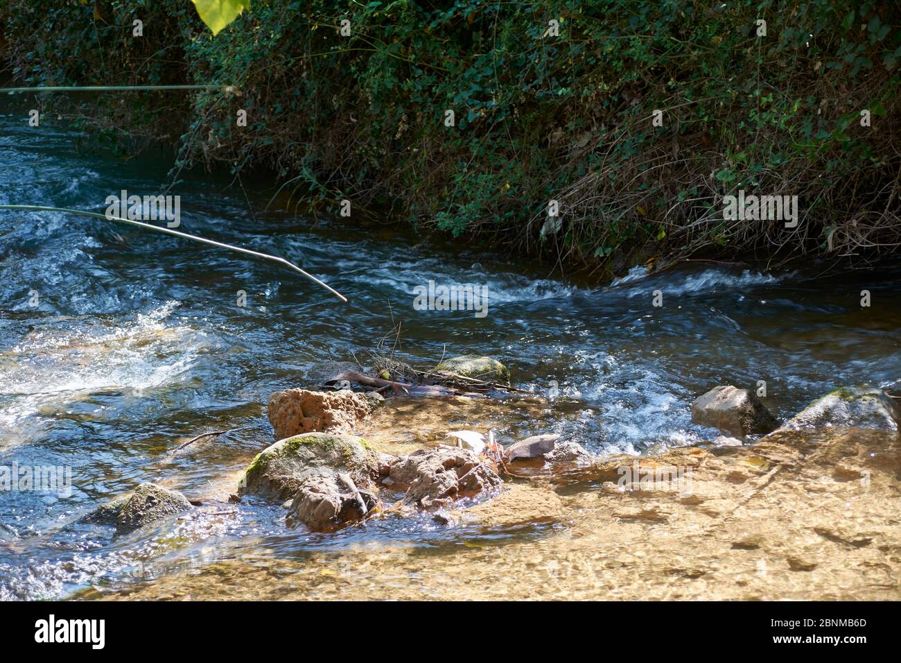 Stream with calm and transparent waters, small waterfall, vegetation ...