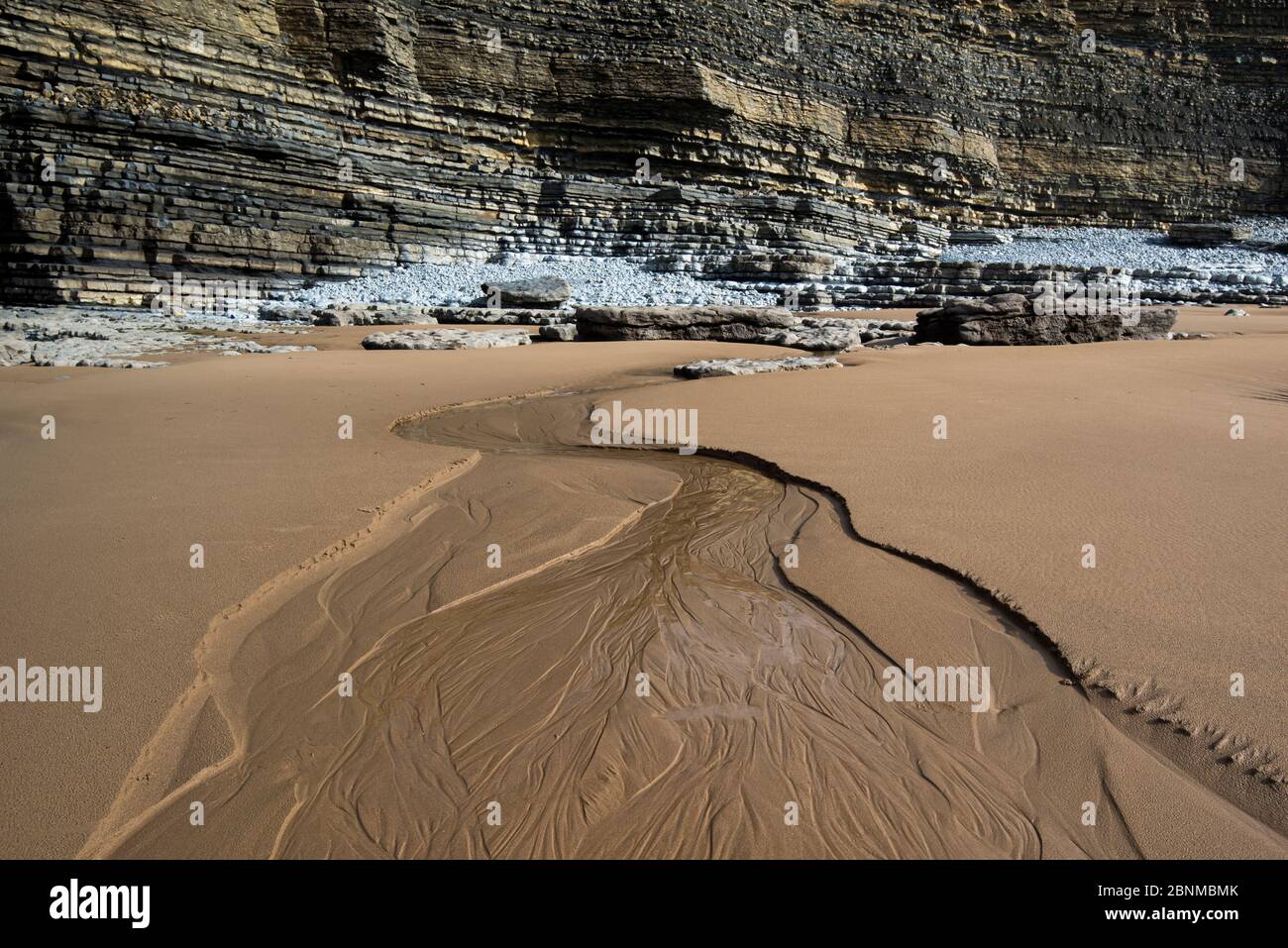 Small braided stream flowing across a beach with Jurassic age, Liassic ...