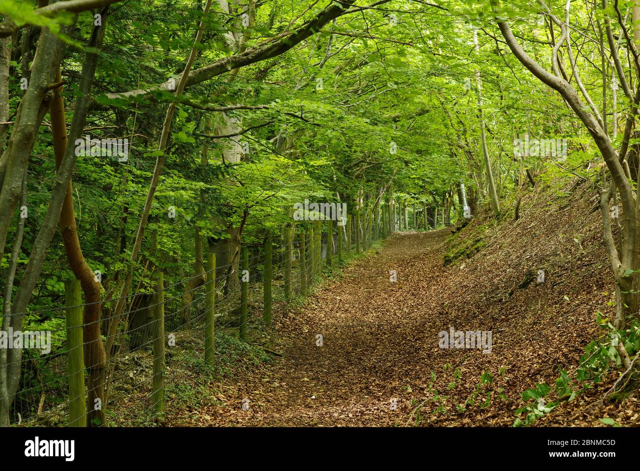 The slad valley hi-res stock photography and images - Alamy