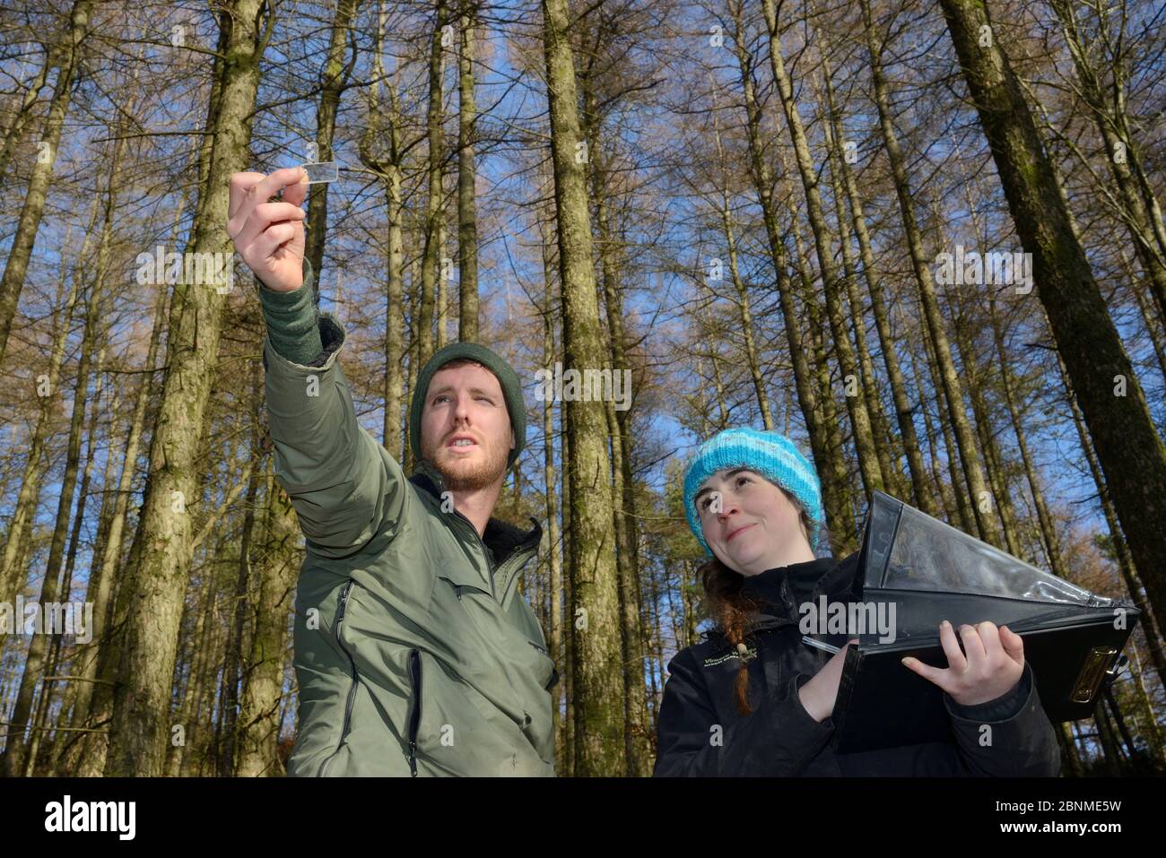 David Bavin using a wedge prism relascope to record the tree density of ...