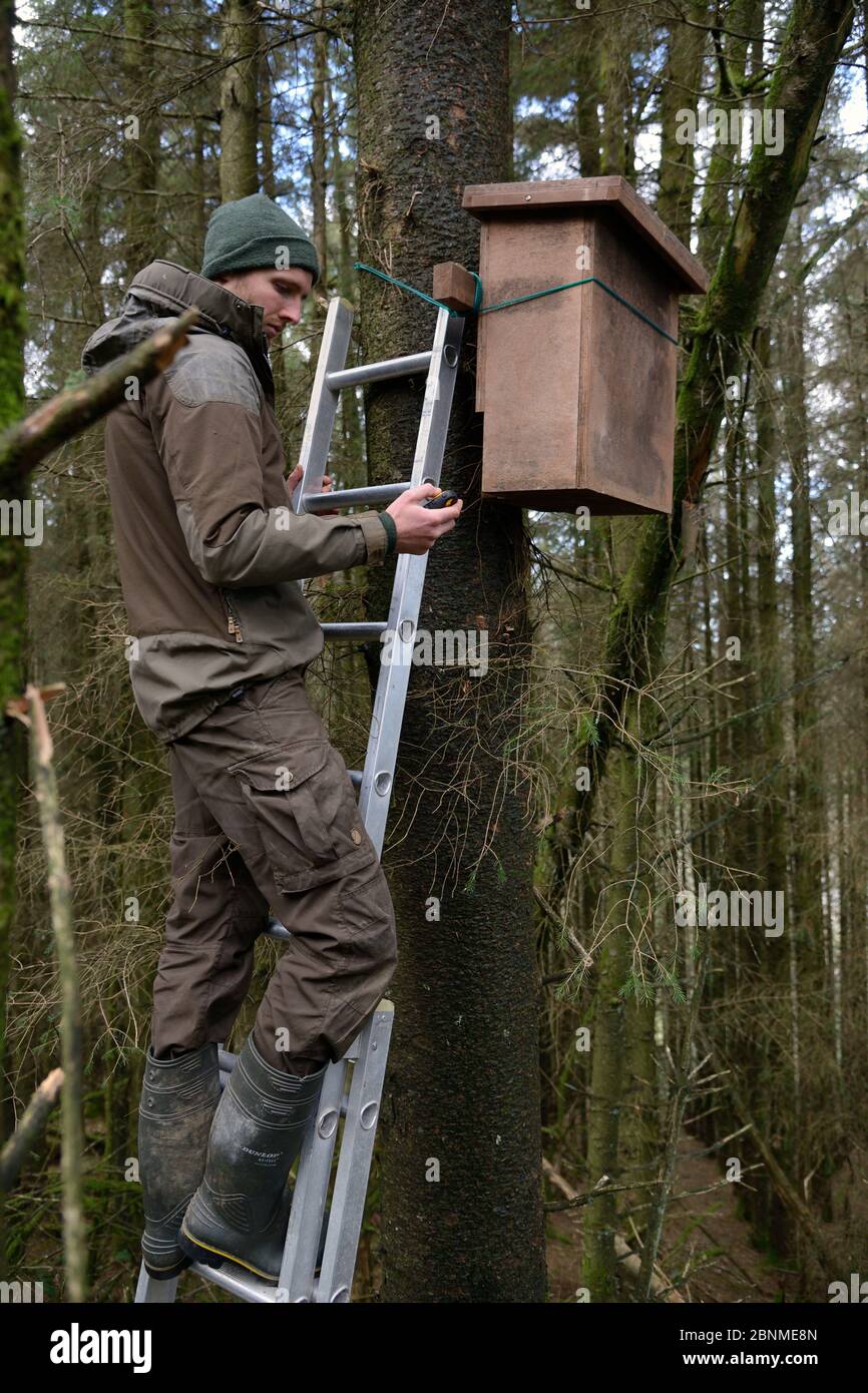 David Bavin at the top of a ladder, logging the GPS position of a ...