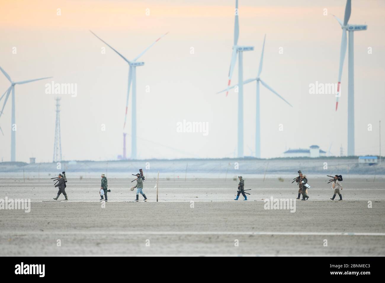 Chinese bird photographers on the Rudong mudlfats in pursuit of ...