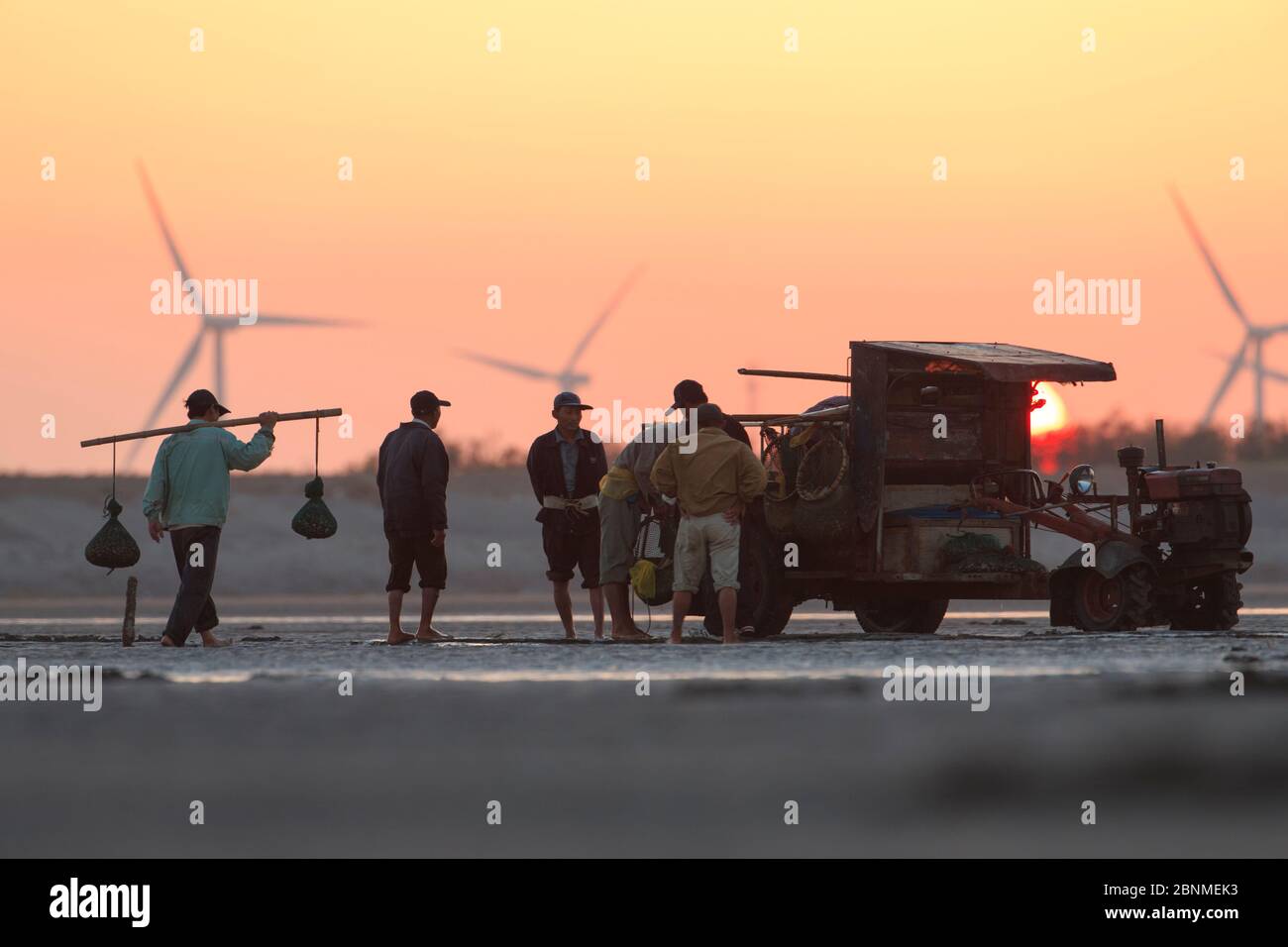 Shellfish harvesters on the mudflats at Rudong, China. Besides being ...