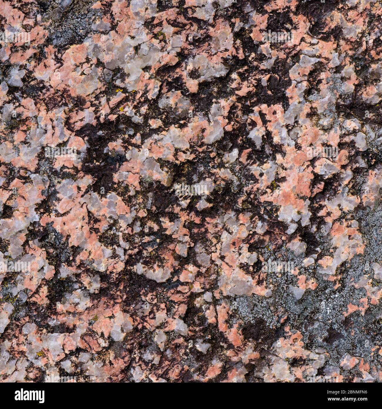 Granite rock sample, Fionnphort, Mull, Scotland Stock Photo - Alamy
