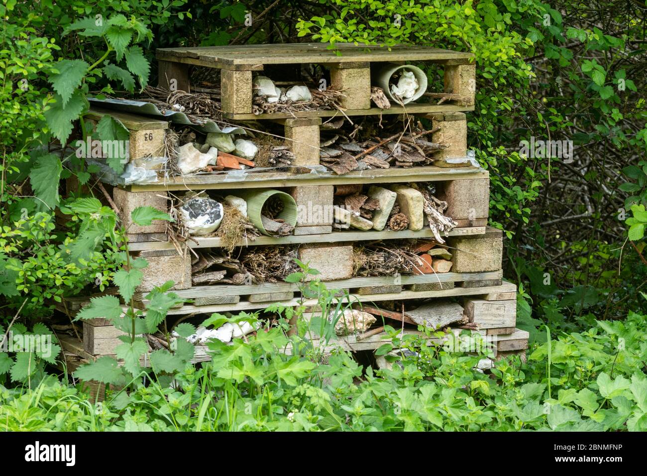 Insect hotel hi-res stock photography and images - Alamy