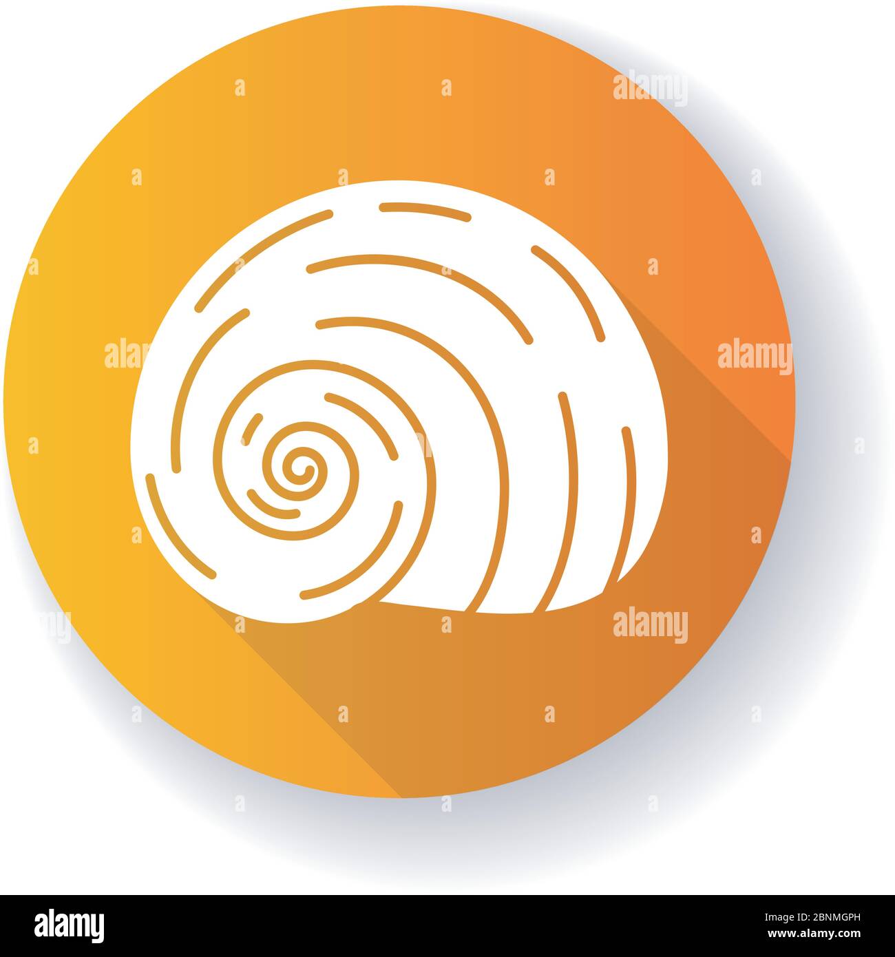 Common yellow conch hi-res stock photography and images - Alamy