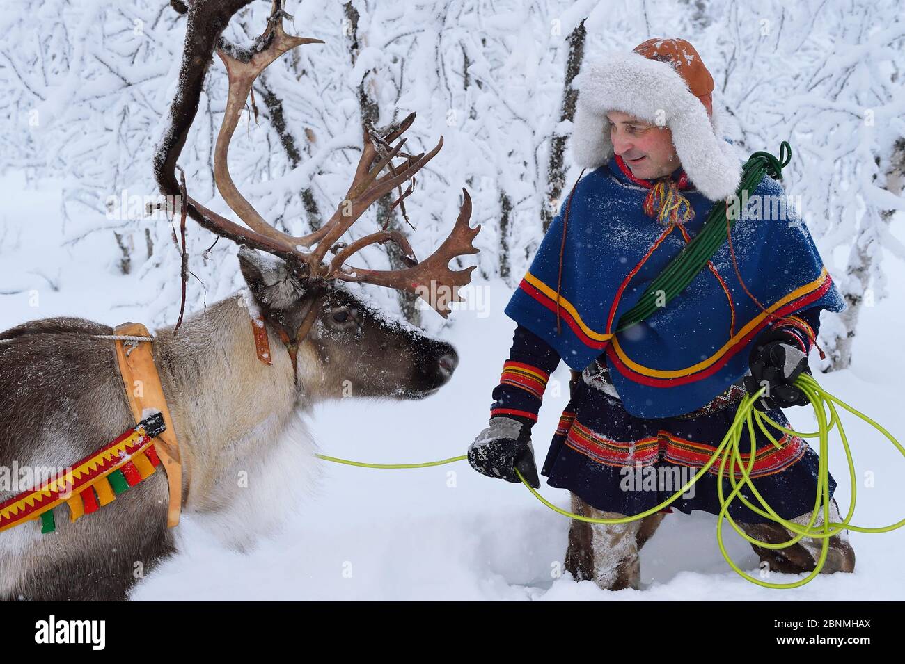 Sami people with reindeer sleigh hi-res stock photography and images ...