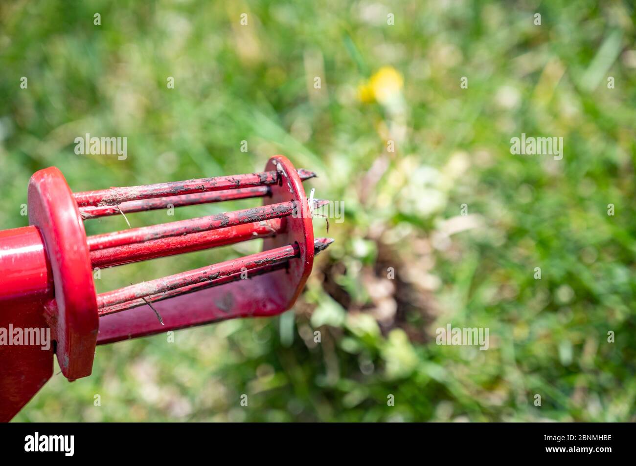 Mechanical device for removing dandelion weeds by pulling the tap root ...