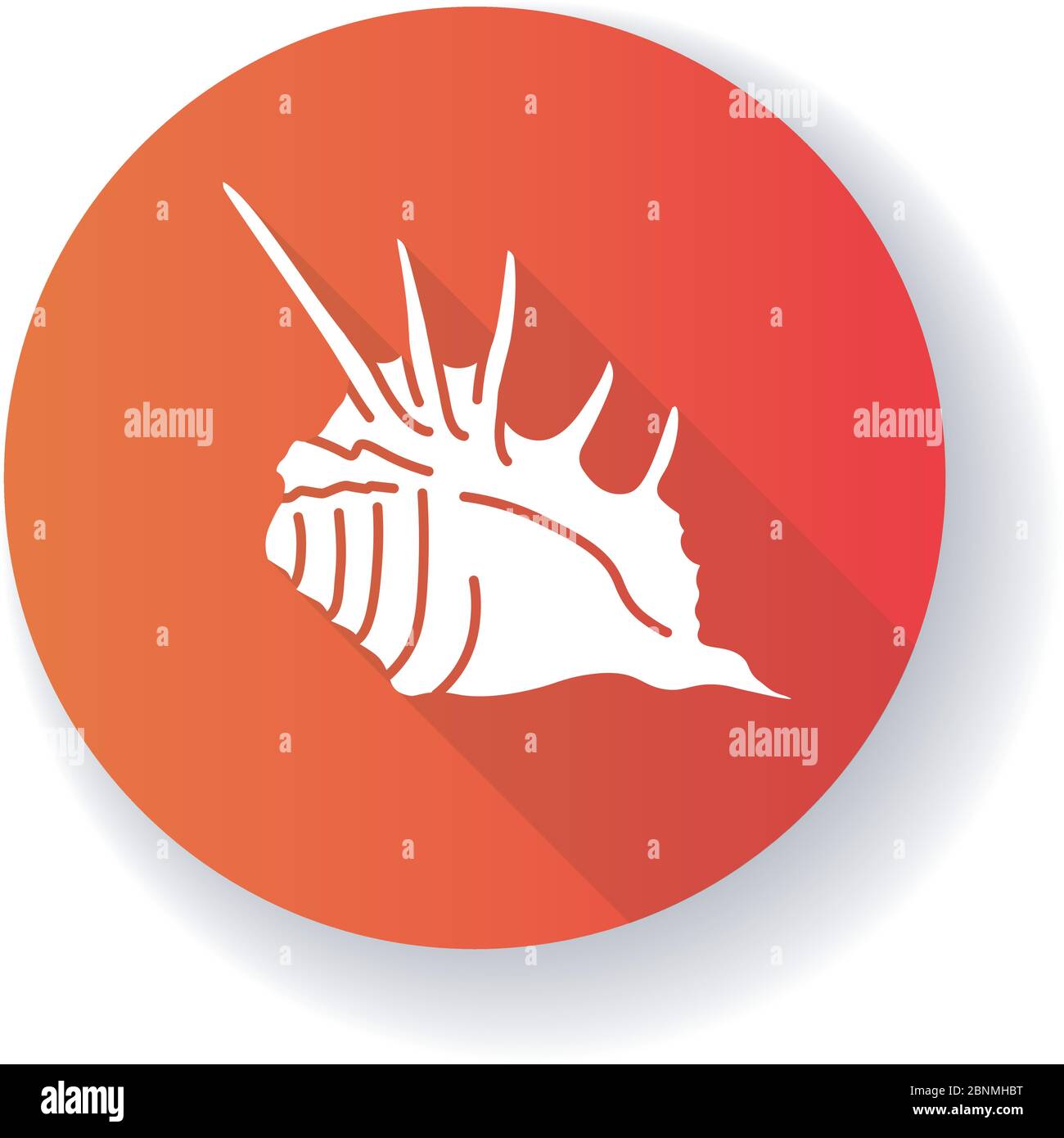 Seashell spikes Stock Vector Images - Alamy