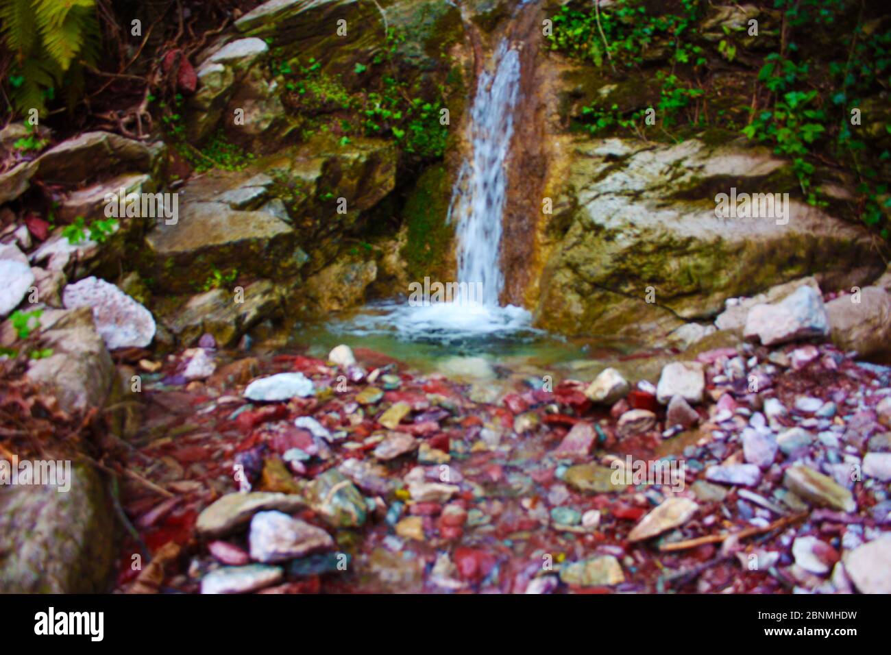 a trickle of cold stream between the greenery and the red brick stones ...
