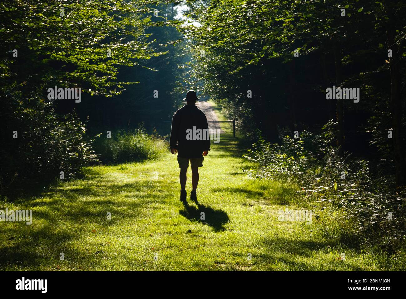 Silhouette of a man walking down path at Bretzfelder Memorial Park in ...