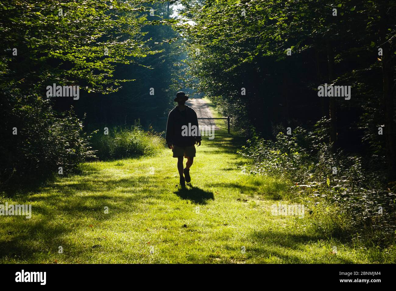 Silhouette of a man walking down path at Bretzfelder Memorial Park in ...
