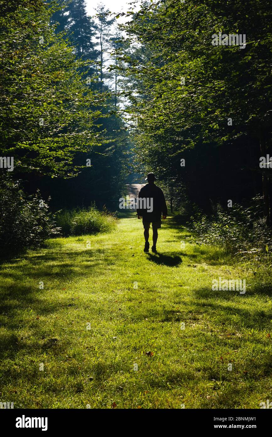 Silhouette of a man walking down path at Bretzfelder Memorial Park in ...