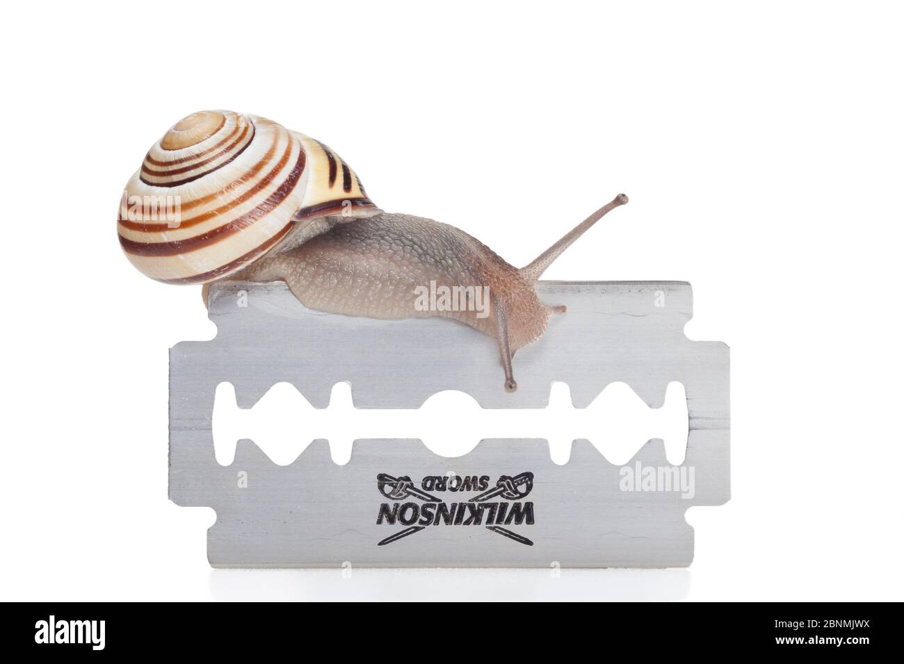 A razor blade hi-res stock photography and images - Alamy