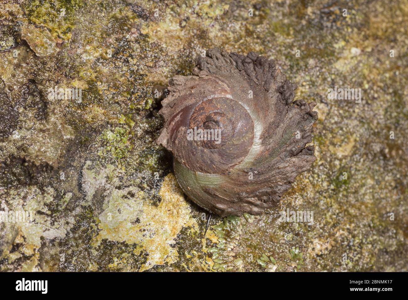 Deliberately hi-res stock photography and images - Alamy