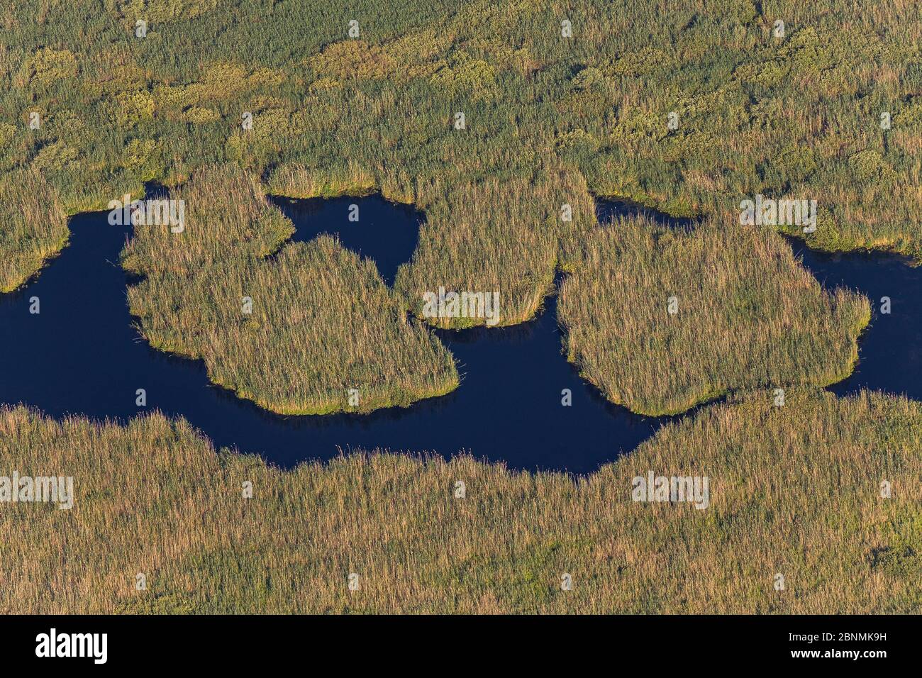 Aerial view of Danube Delta, the second largest wetland in Europe and ...