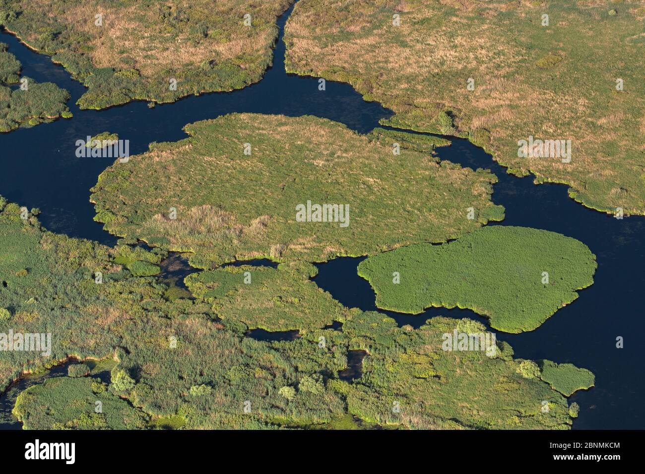 Aerial view of Danube Delta, the second largest wetland in Europe and ...