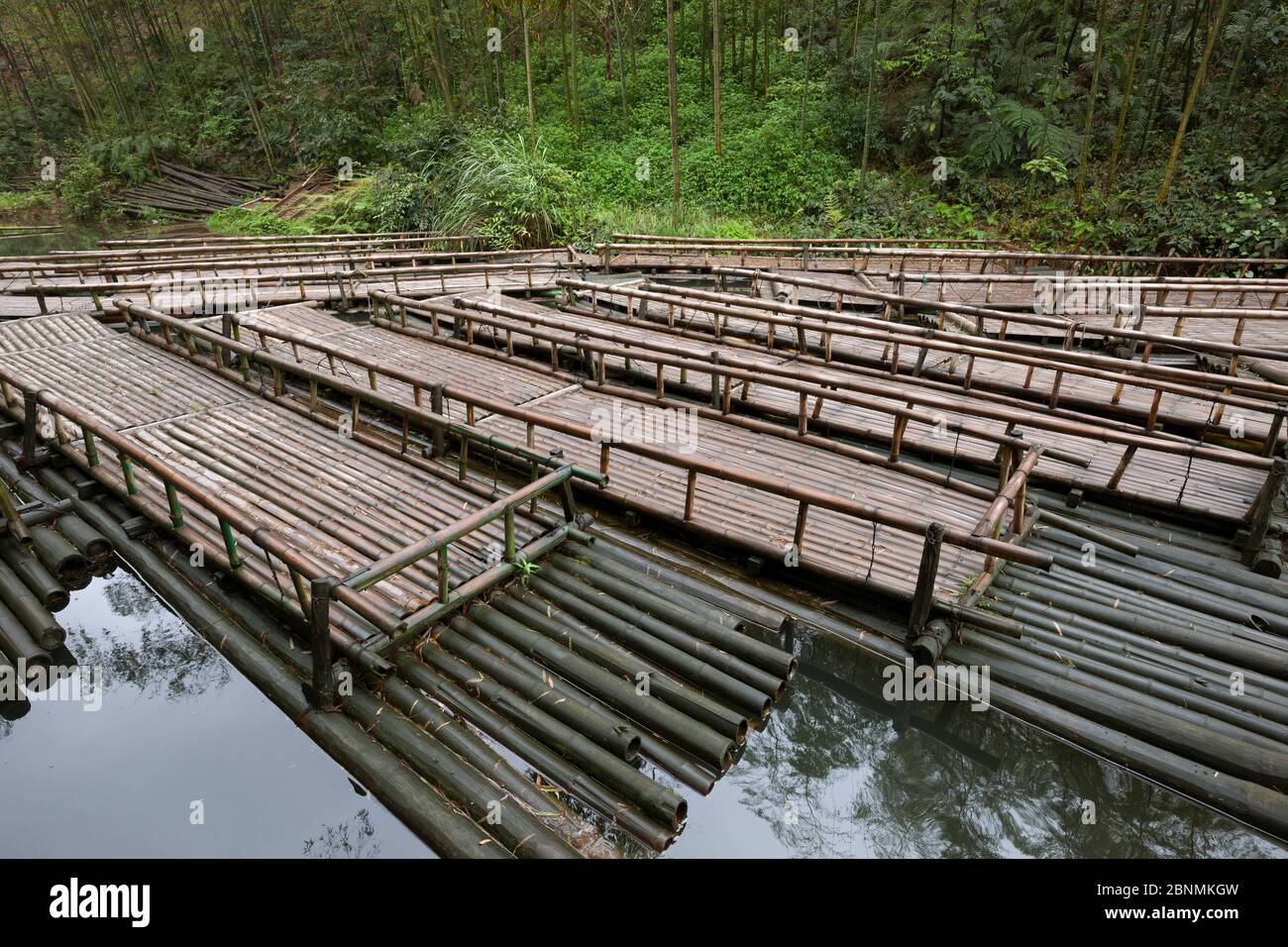 Bamboo platform hi-res stock photography and images - Alamy