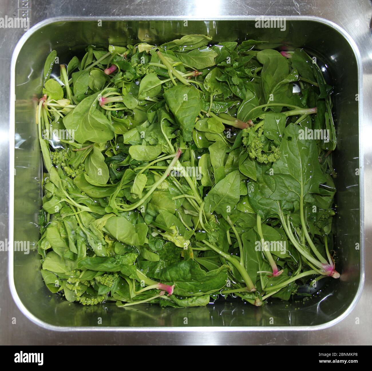 Spinach cleaning hi-res stock photography and images - Alamy
