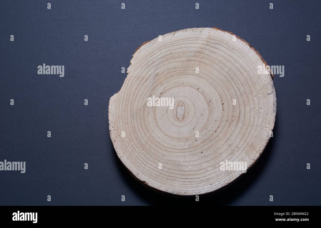 Wooden trunk rings on black background. Colors of nature Stock Photo ...