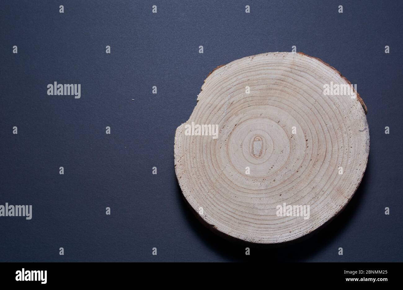 Wooden trunk rings on black background. Colors of nature Stock Photo ...