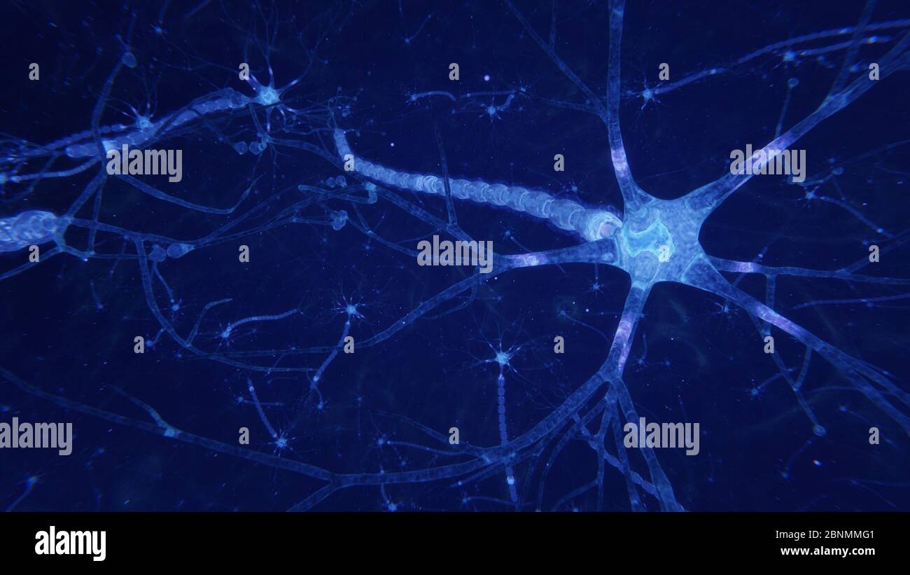 3d illustration brain neurons with synapses and axons Stock Photo - Alamy